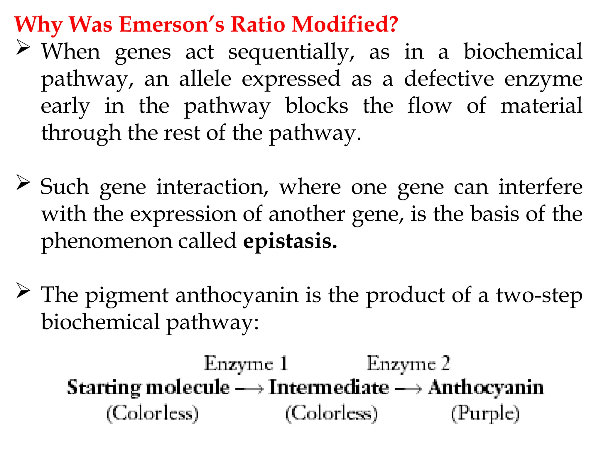 Mendelian Genetics understanding the Mendelian | PPT