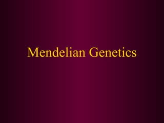 Mendelian genetics and punnett squares slideshow | PPT
