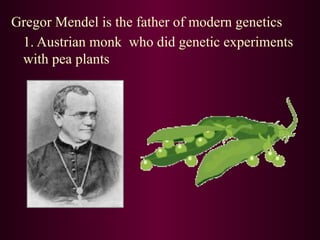 Mendelian genetics and punnett squares slideshow | PPT