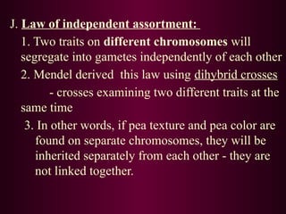 Mendelian genetics and punnett squares slideshow | PPT
