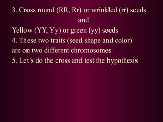 Mendelian genetics and punnett squares slideshow | PPT