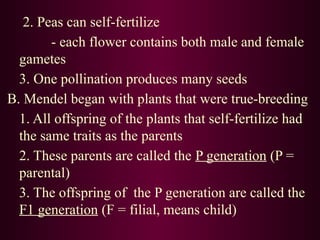 Mendelian genetics and punnett squares slideshow | PPT