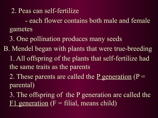 Mendelian genetics and punnett squares slideshow | PPT