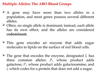 Mendelian and NonMendelian Genetics presentation | PPT
