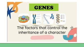 Mendelian Genetics SCIENCE 8 POWERPOINT** | PPTX