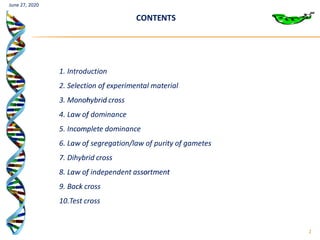 Mendelian genetics1 | PPT