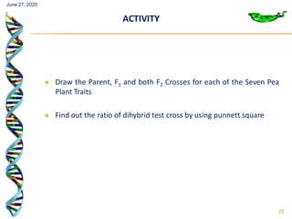 Mendelian genetics1 | PPT