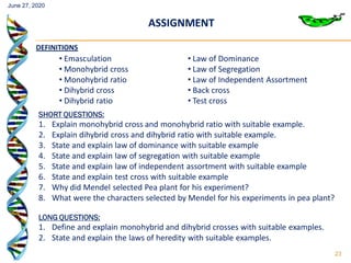 Mendelian genetics1 | PPT