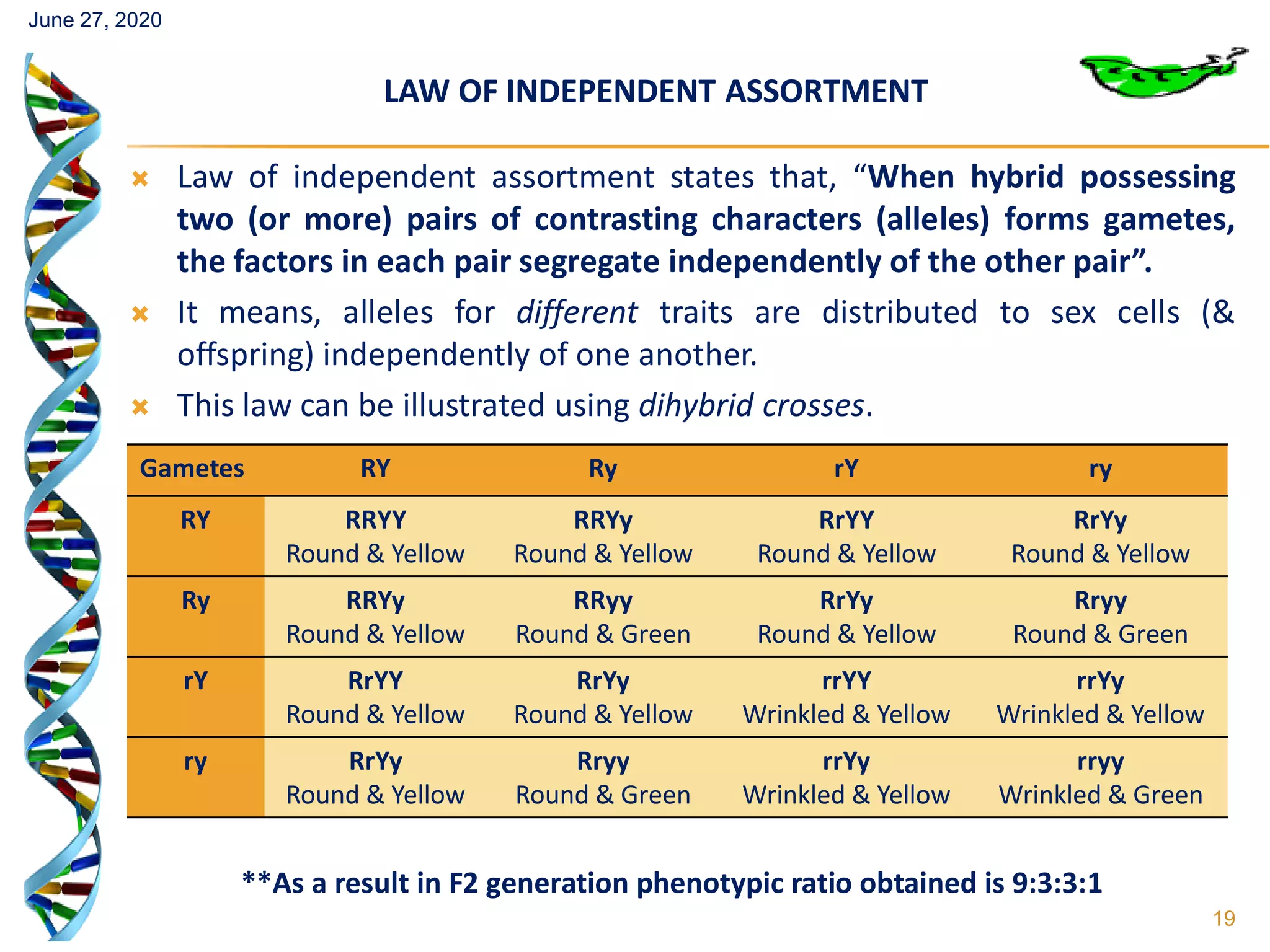 Mendelian genetics1 | PDF