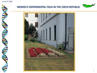 Mendelian genetics1 | PDF
