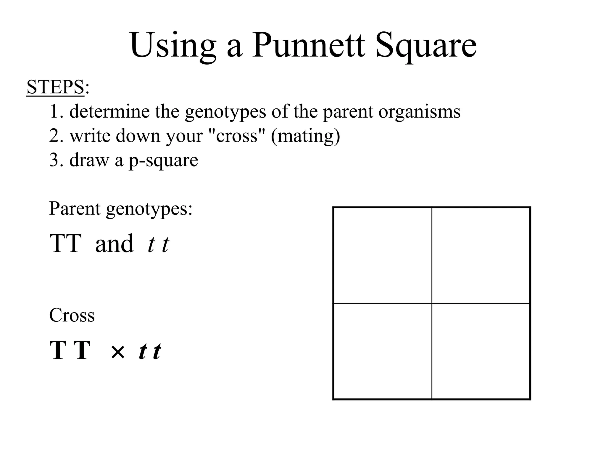 mendelian genetics (1).ppt