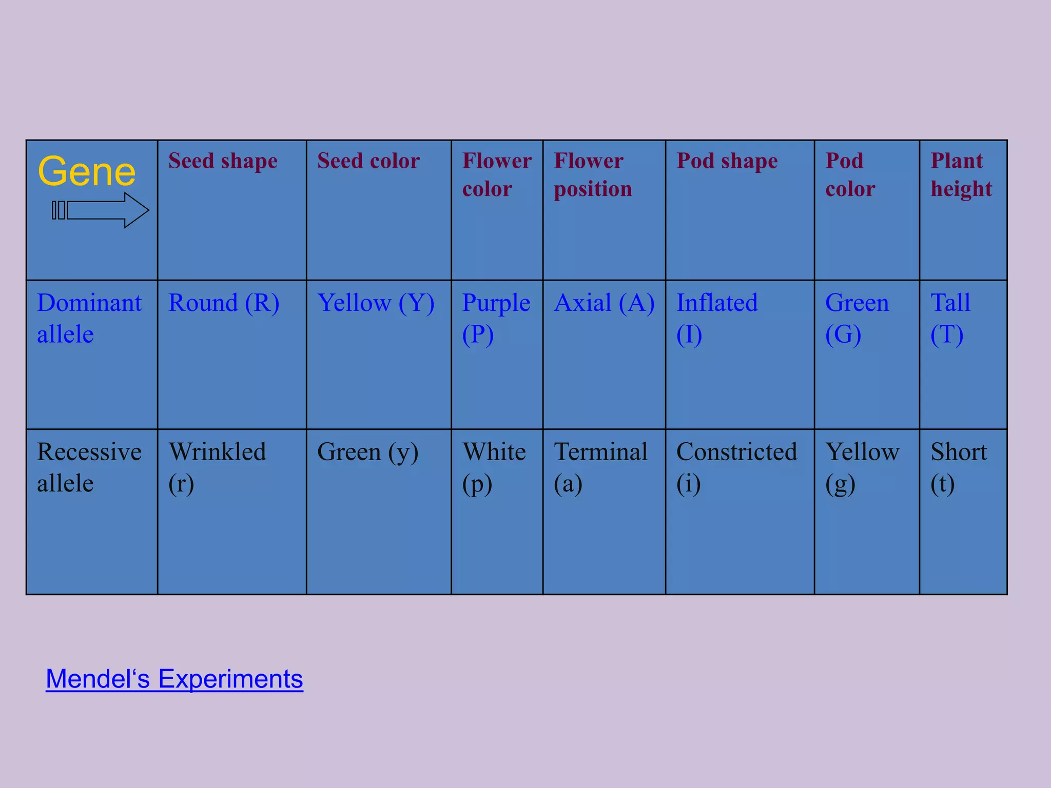 Mendelian genetics 101 | PPTX