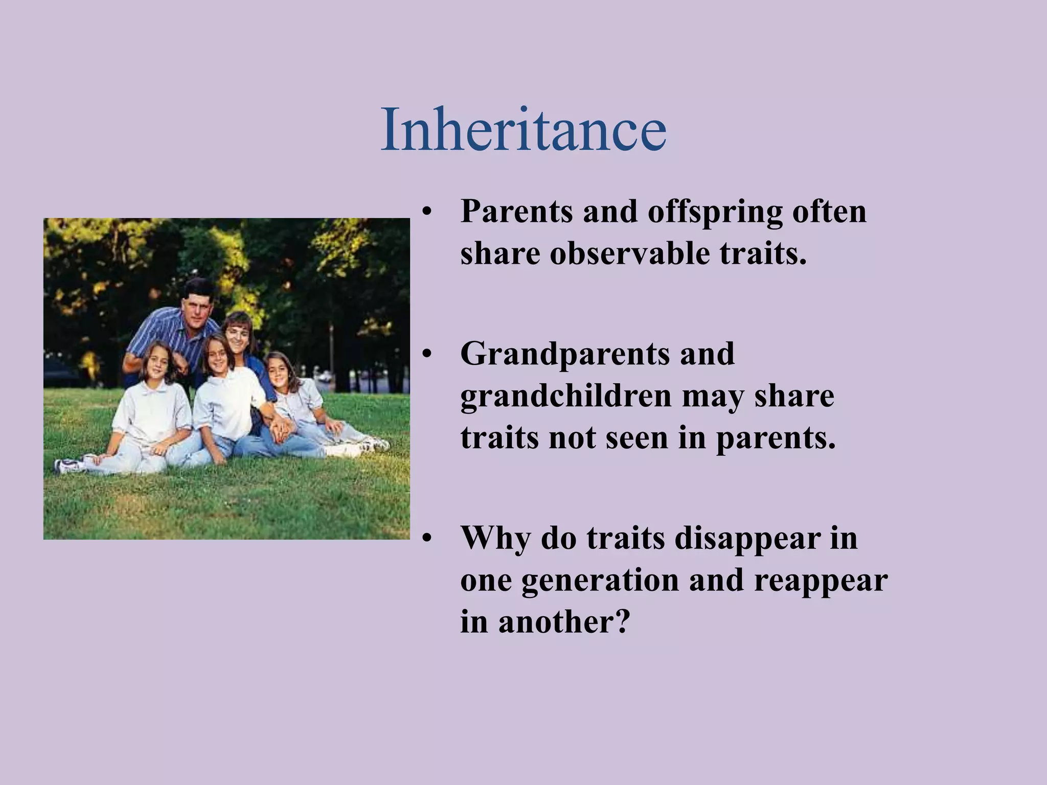 Mendelian genetics 101 | PPTX