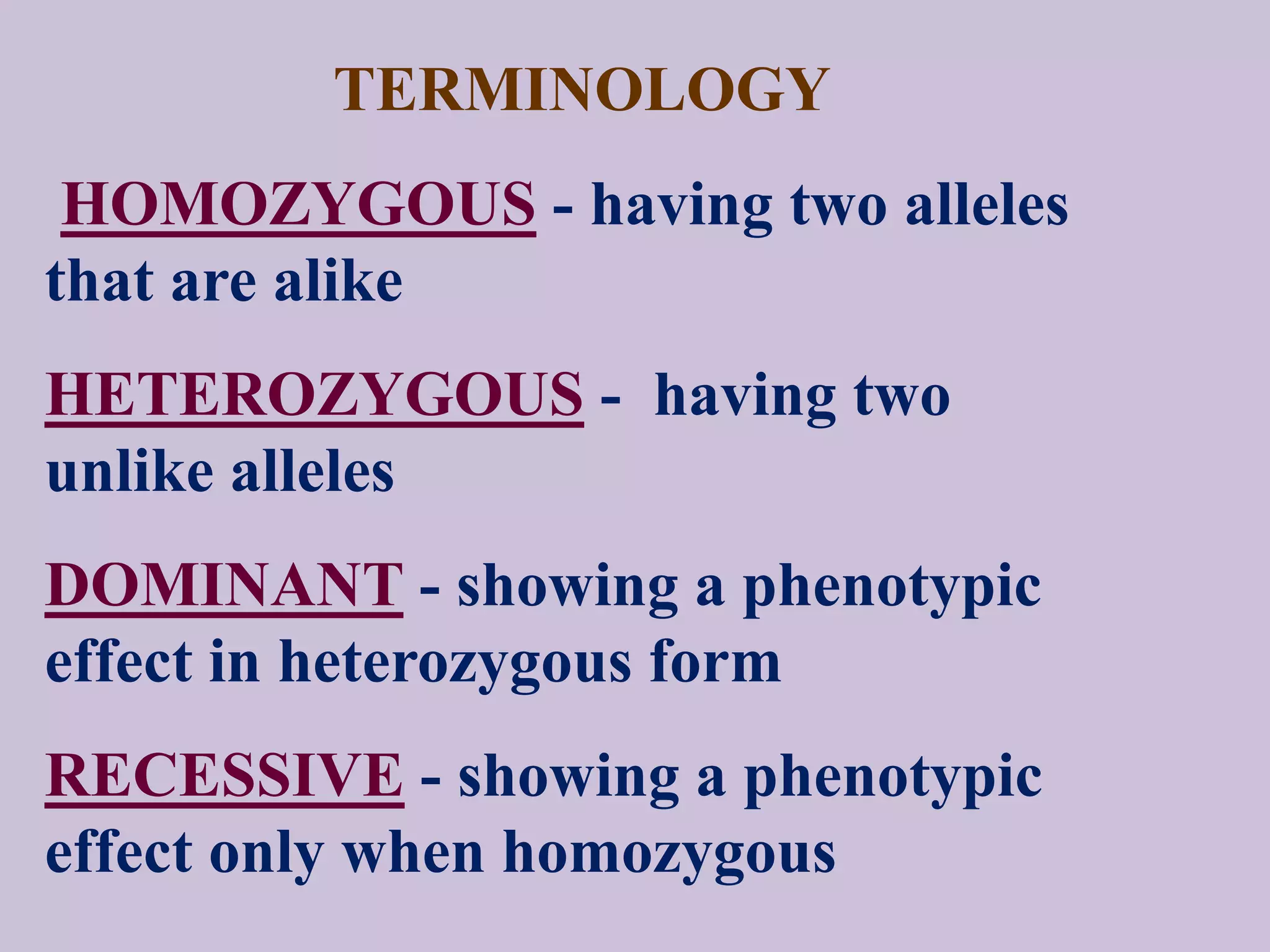 Mendelian genetics 101 | PPTX