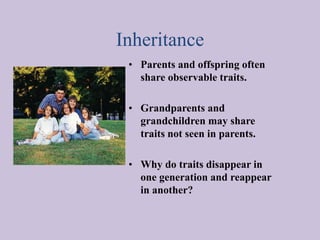 Mendelian genetics 101 | PPTX