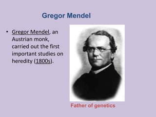 Mendelian genetics 101 | PPTX