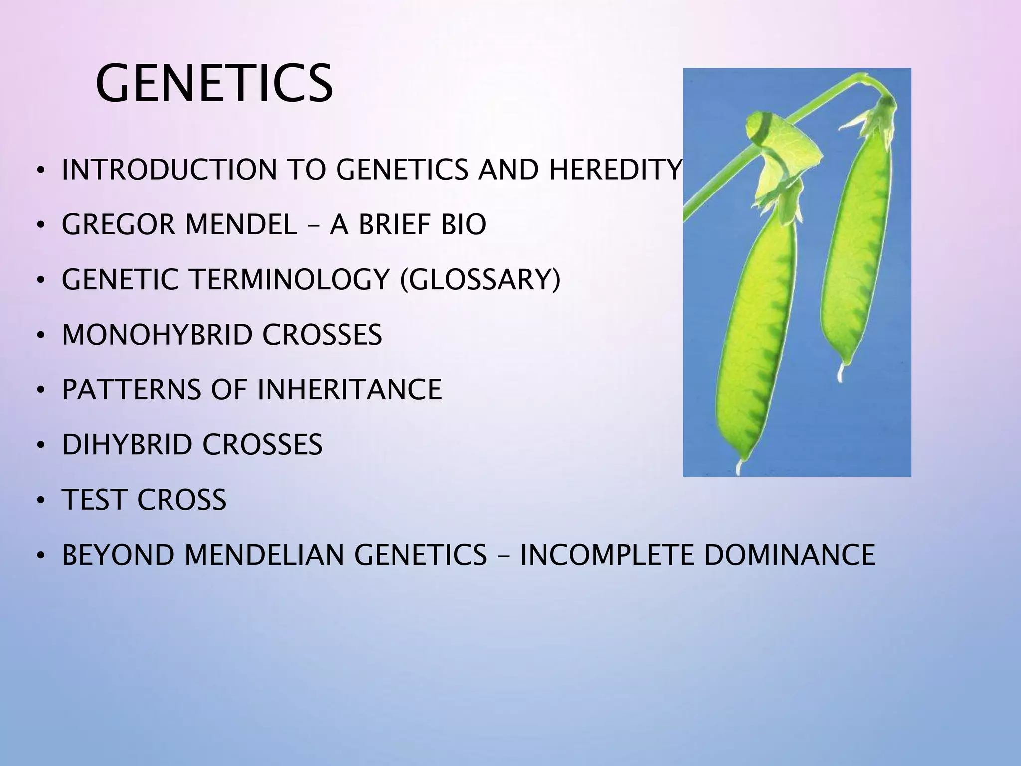 mendelian genetics (1) (1).ppt