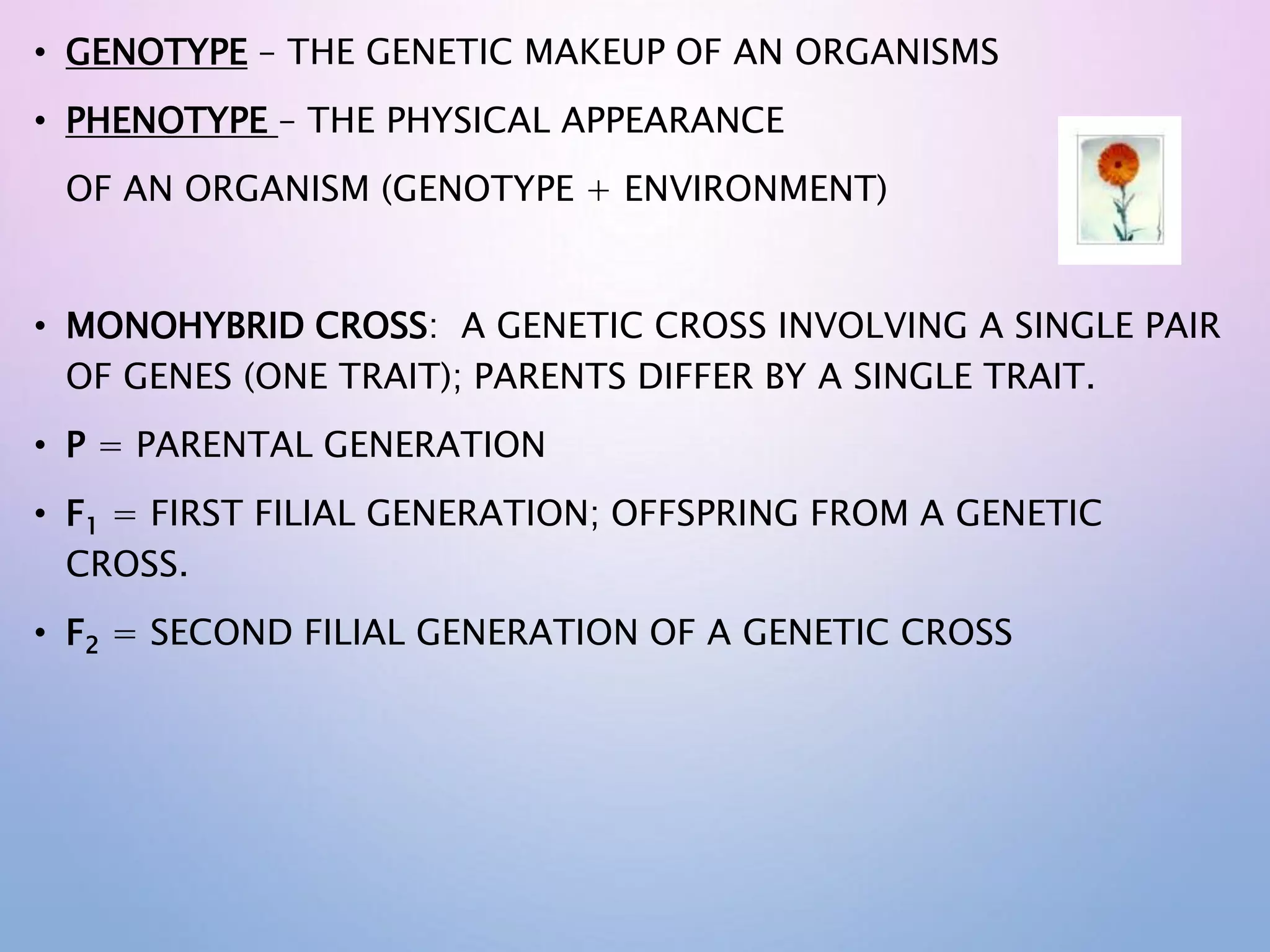 mendelian genetics (1) (1).ppt