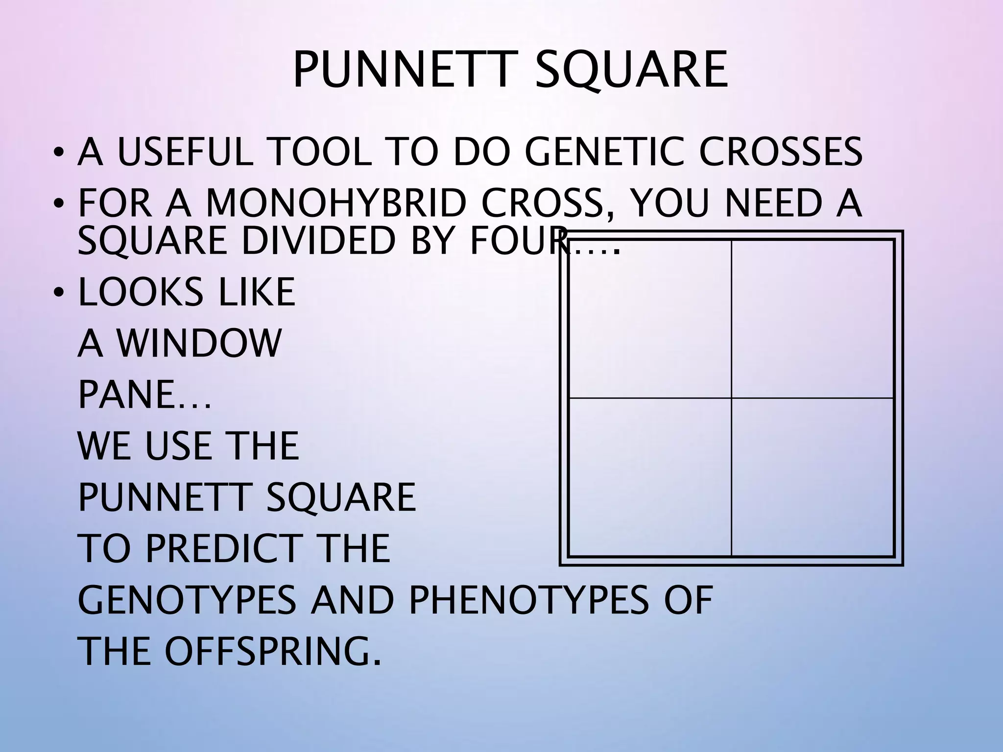 mendelian genetics (1) (1).ppt