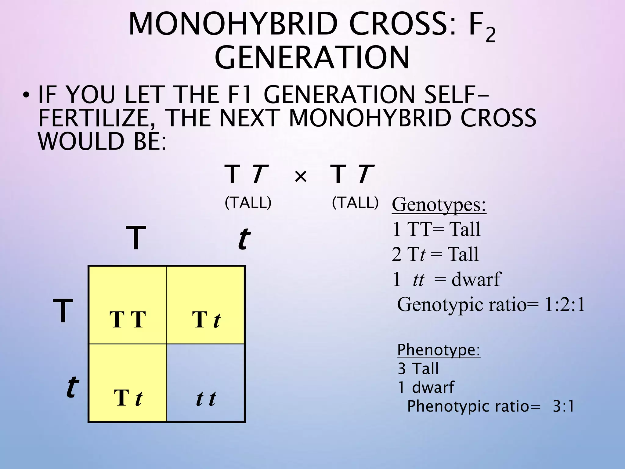 mendelian genetics (1) (1).ppt