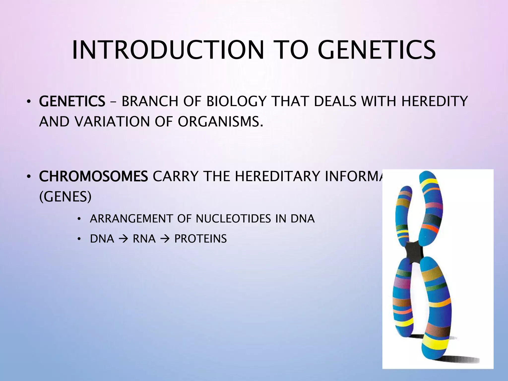 mendelian genetics (1) (1).ppt