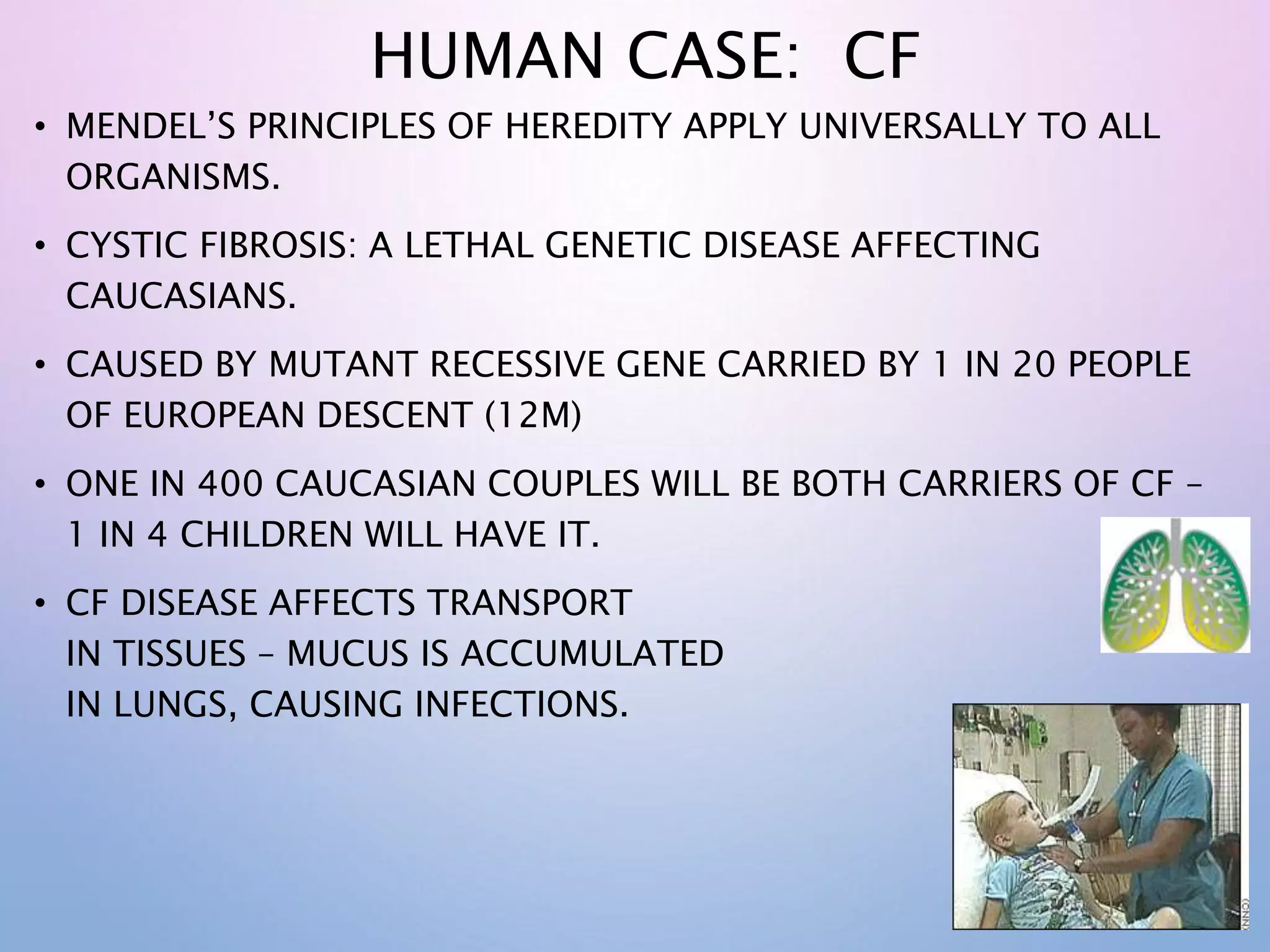 mendelian genetics (1) (1).ppt