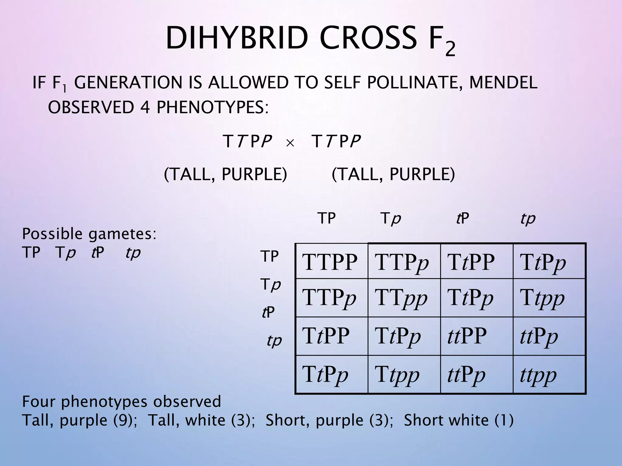 mendelian genetics (1) (1).ppt