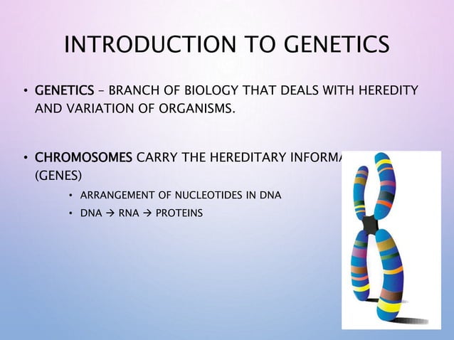 mendelian genetics (1) (1).ppt