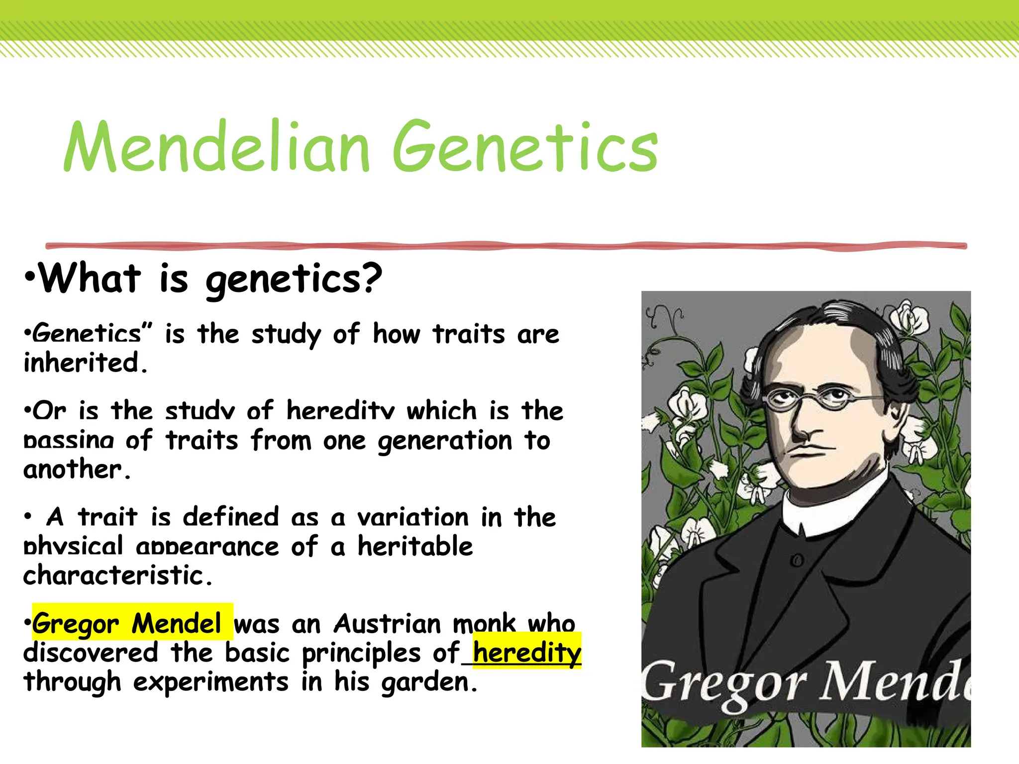 _Mendelian_Genetics 2023-2024 all parts..pptx