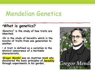 _Mendelian_Genetics 2023-2024 all parts..pptx
