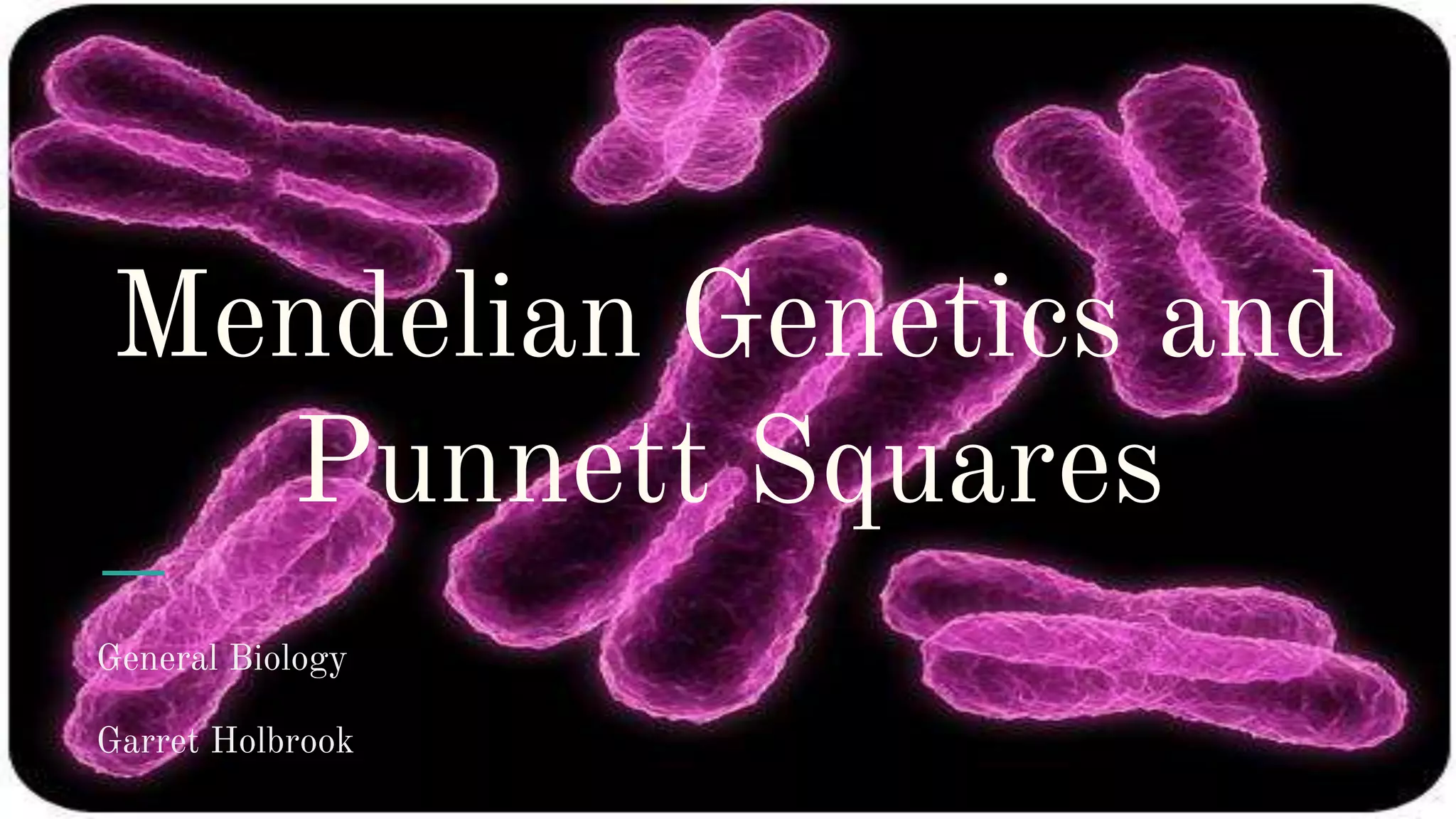 Mendelian genetics and punnett squares | PPTX | Genetics | Science