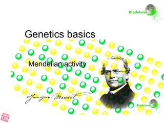 Mendelian Genetics Basics Fernando | PPT