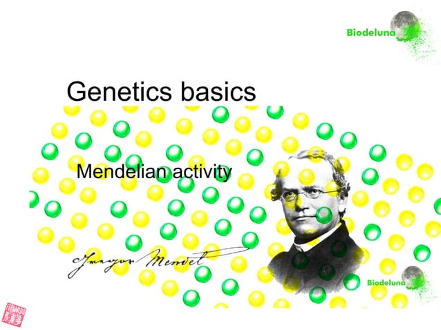Mendelian Genetics Basics Fernando | PPT