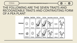 Mendelian Genetics G8 Science Q4 Highschool | PPTX
