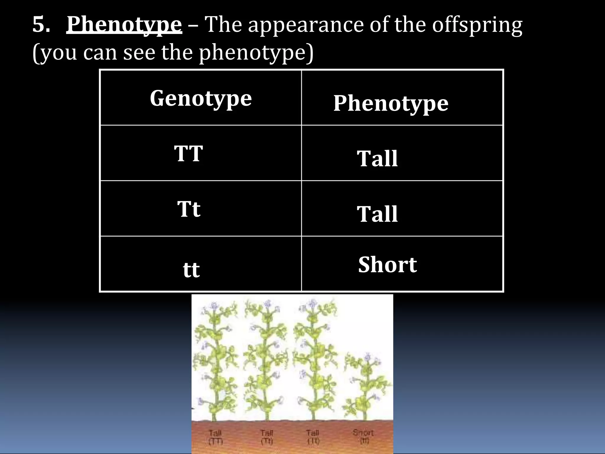 Mendelian genetics power_point | PPTX