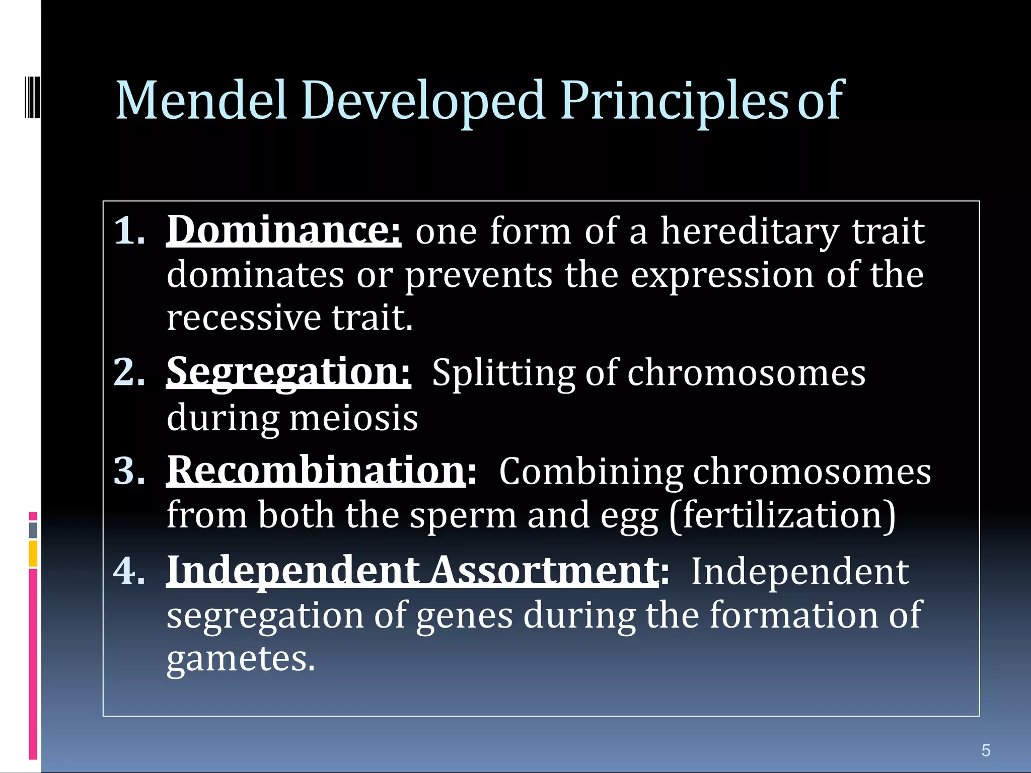Mendelian genetics power_point | PPTX