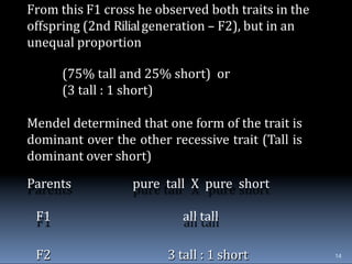 Mendelian genetics power_point | PPTX