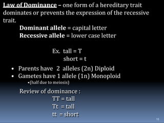 Mendelian genetics power_point | PPTX | Genetics | Science