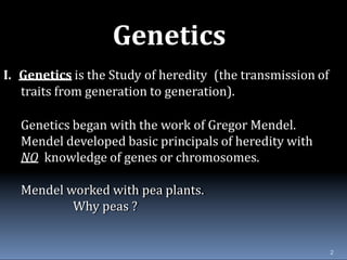 Mendelian genetics power_point | PPTX | Genetics | Science