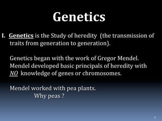 Mendelian_Genetics_PowerPoint.pdf