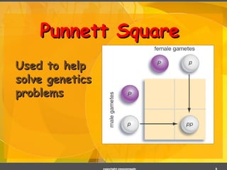 Mendelian genetics ppt | PPT