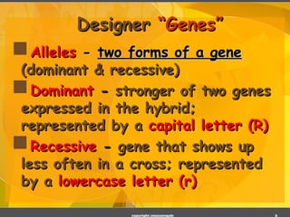 Mendelian genetics ppt | PPT