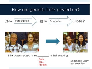 Mendelian genetics slides | PPTX