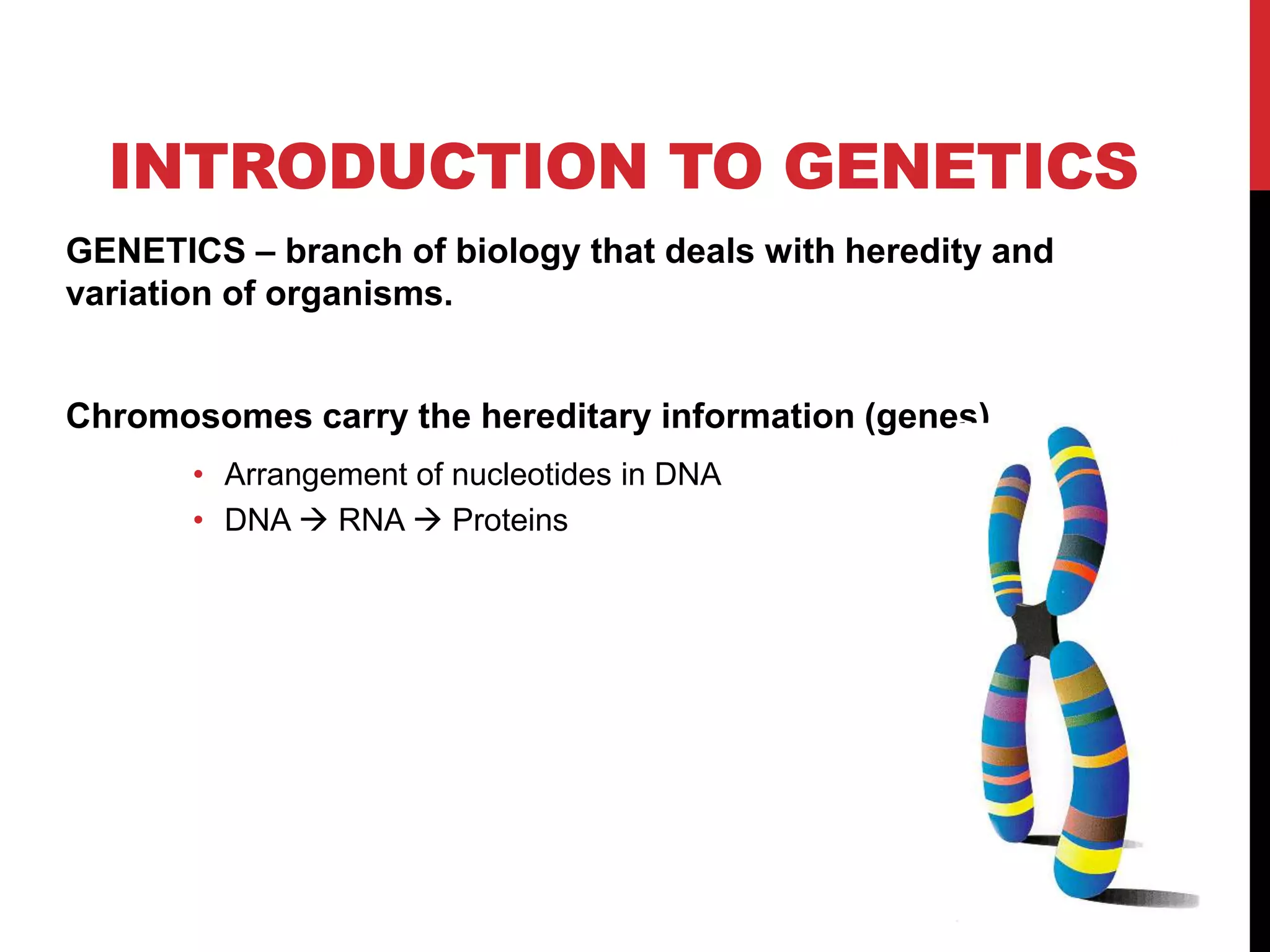 Mendelian Genetics | PPT
