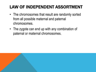 Mendelian Inheritance | PPTX