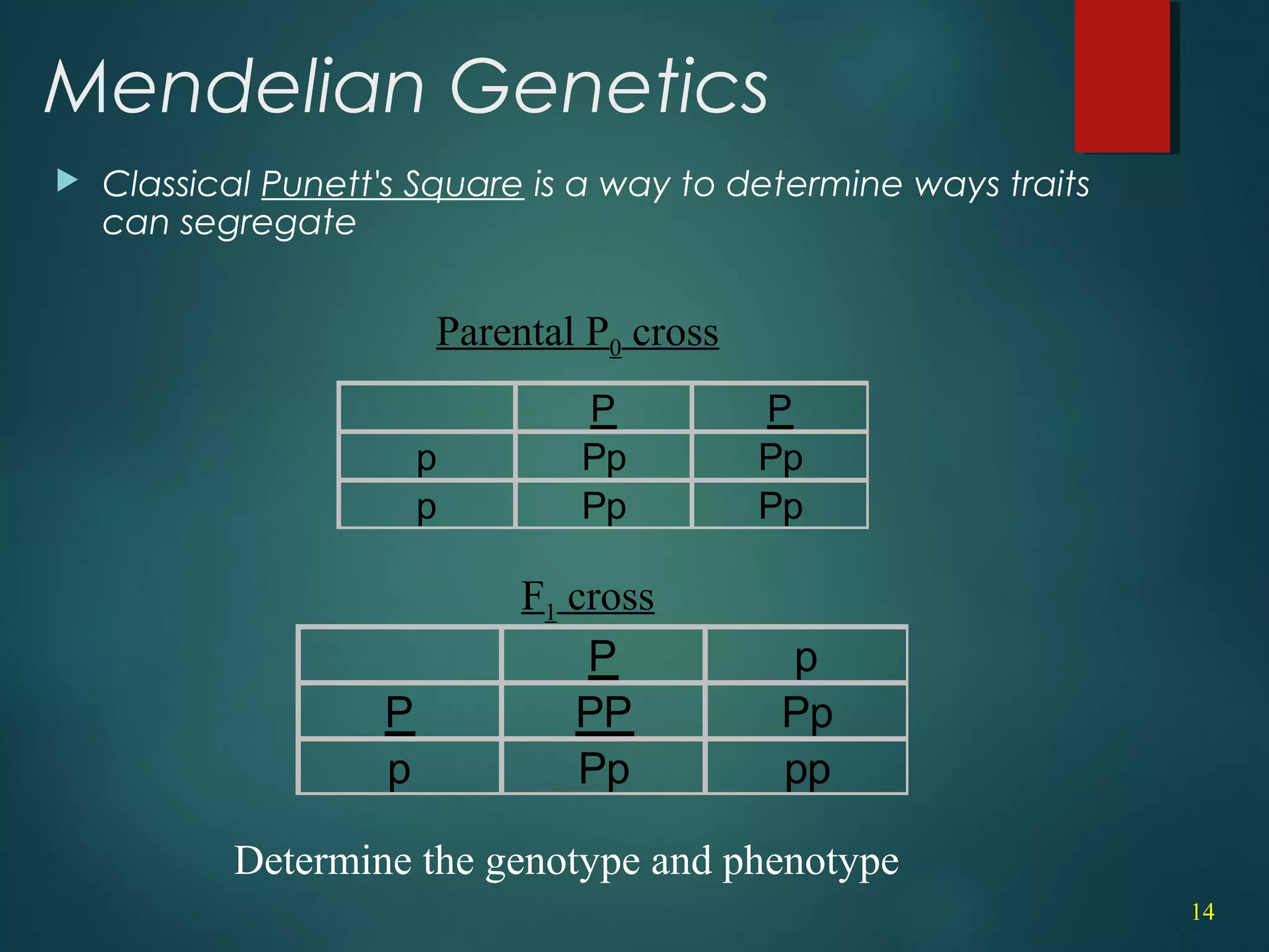 Mendelian inheritance | PPT
