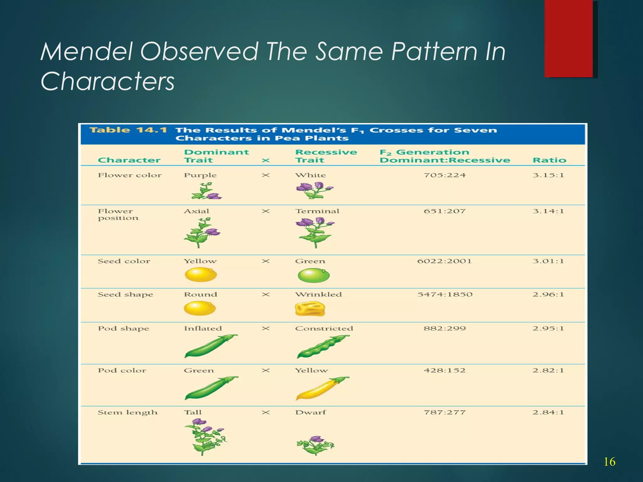 Mendelian inheritance | PPT