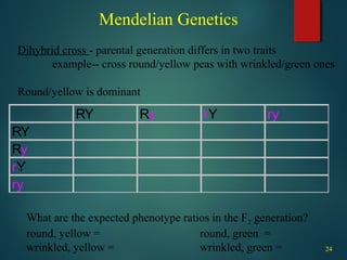 Mendelian inheritance | PPT