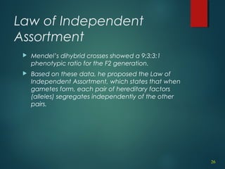 Mendelian inheritance | PPT