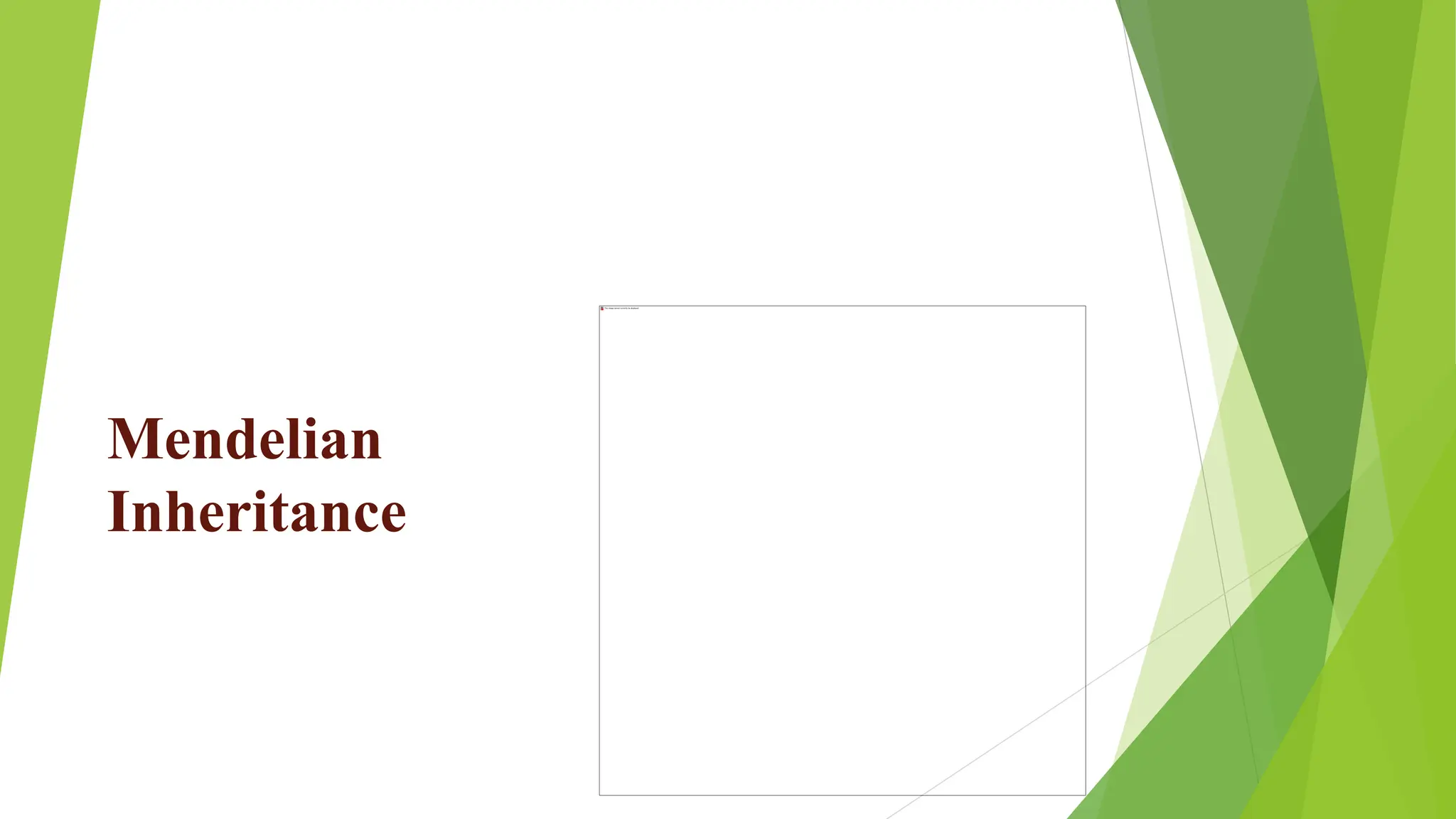 Mendelian inheritance.pptx